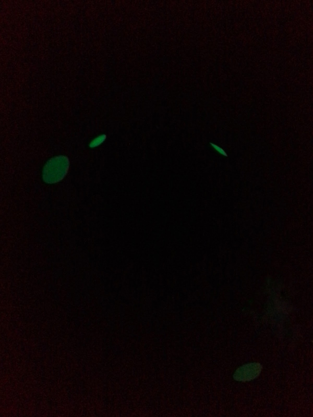 Eureka Seven Nirvash [Type Zero]