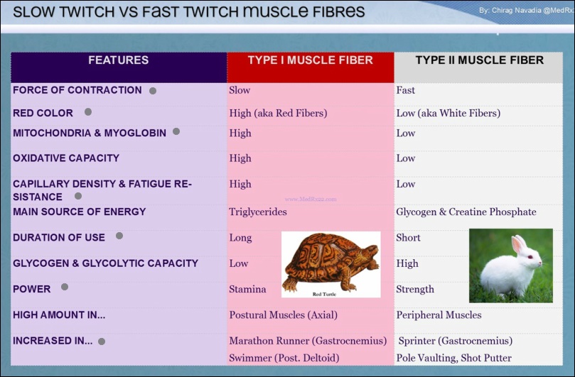 Class XI Biology: November 2016