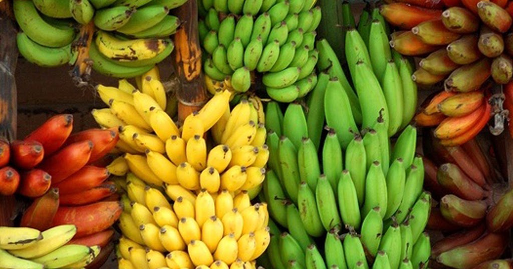 Mengenal 6 Jenis Buah Pisang Nusantara ~ Aneka Resep Pisang Dan Ketan