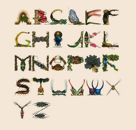 ABECEDARIO DE INSECTOS | 34md