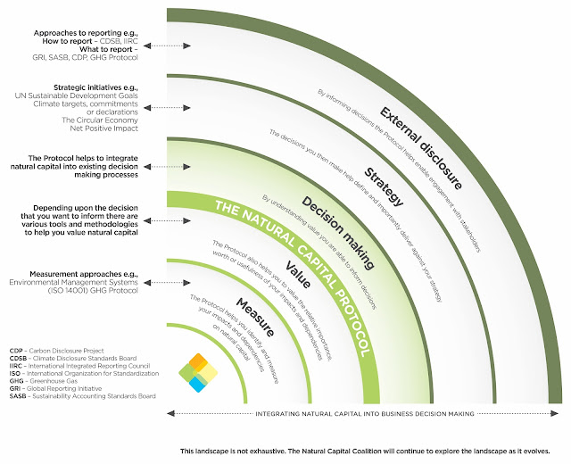 ORGANIZAÇÕES VERDES: «Every business wants to create greater value, be ...
