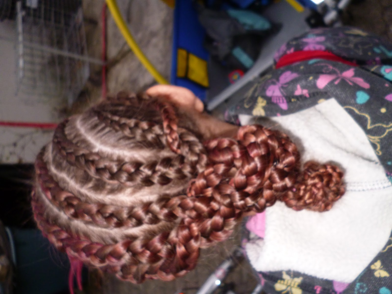 Plaidipus mound: fat corn rows in a curly braid