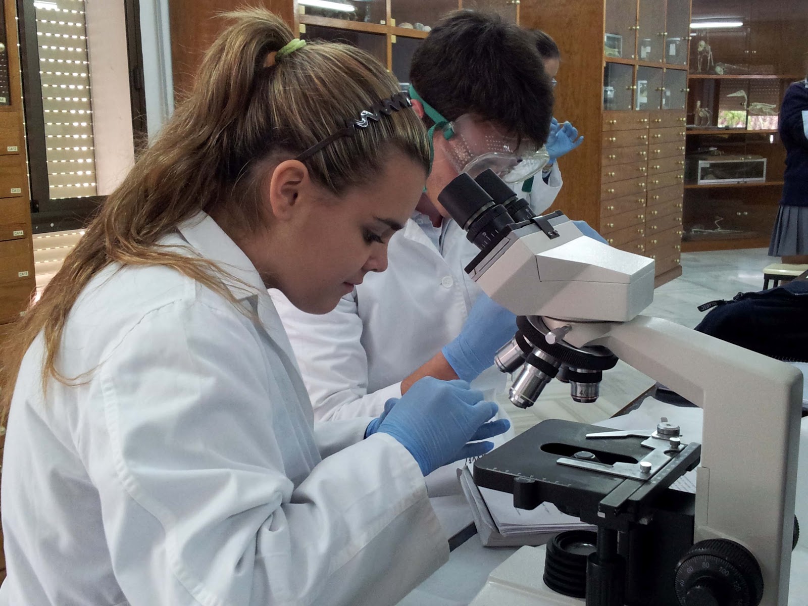 Marcelo Spínola: Prácticas de laboratorio