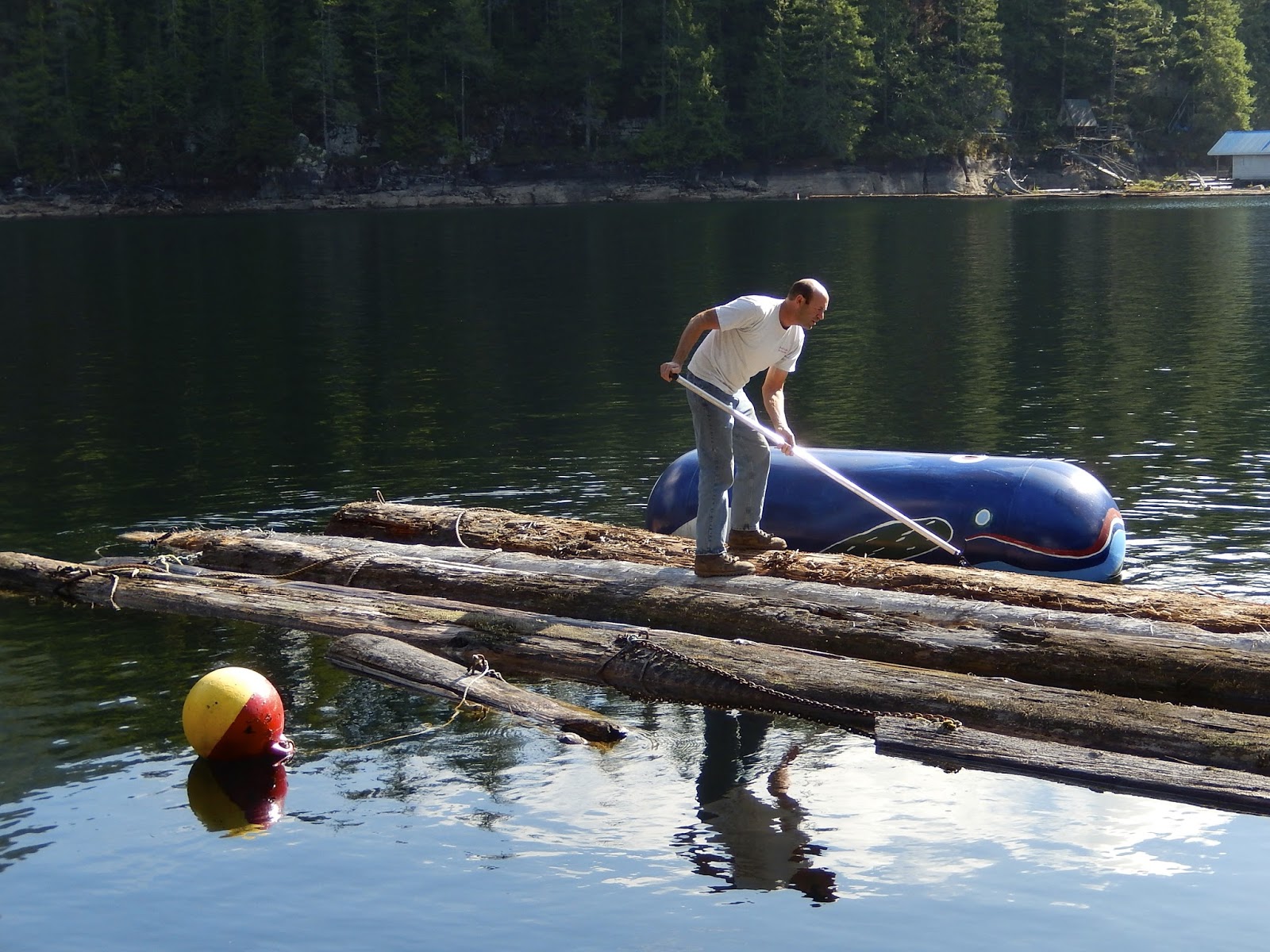 Powell River Books Blog: Enlarging our Log Boom