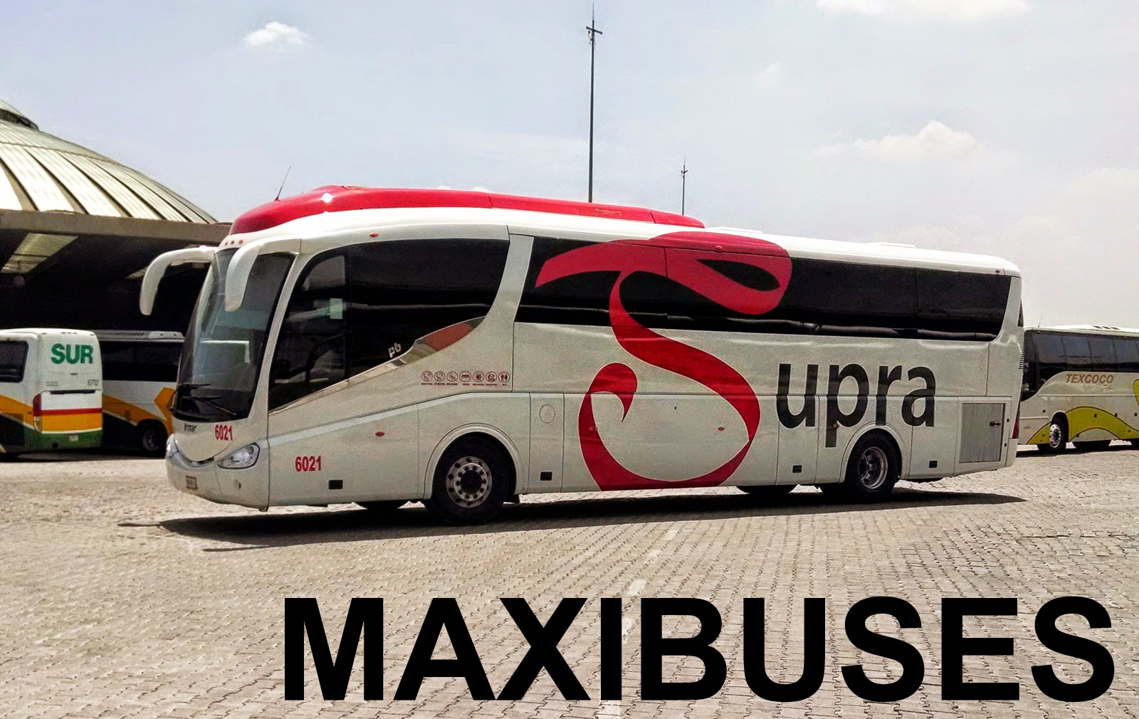 MAXIBUSES: SUPRA - NUEVA LÍNEA