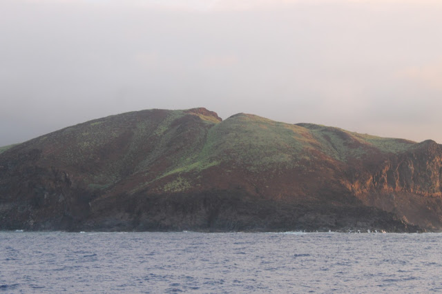 Biodiversidad de "El Bajío Profundo": ISLA CLARIÓN, ARCHIPIELAGO DE ...