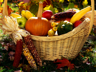 Tasty Bites: Fall Feast, Autumn Harvest!!