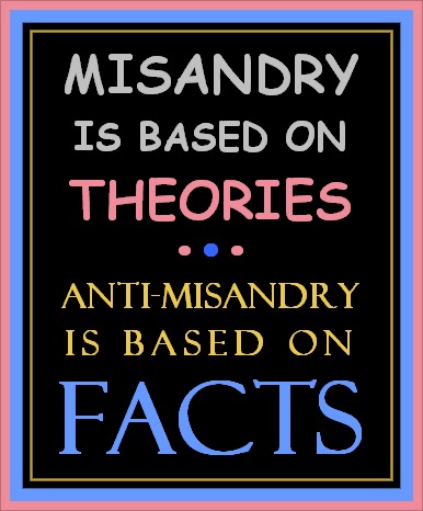 Unknown Gender History: Misandry is Based on Theories