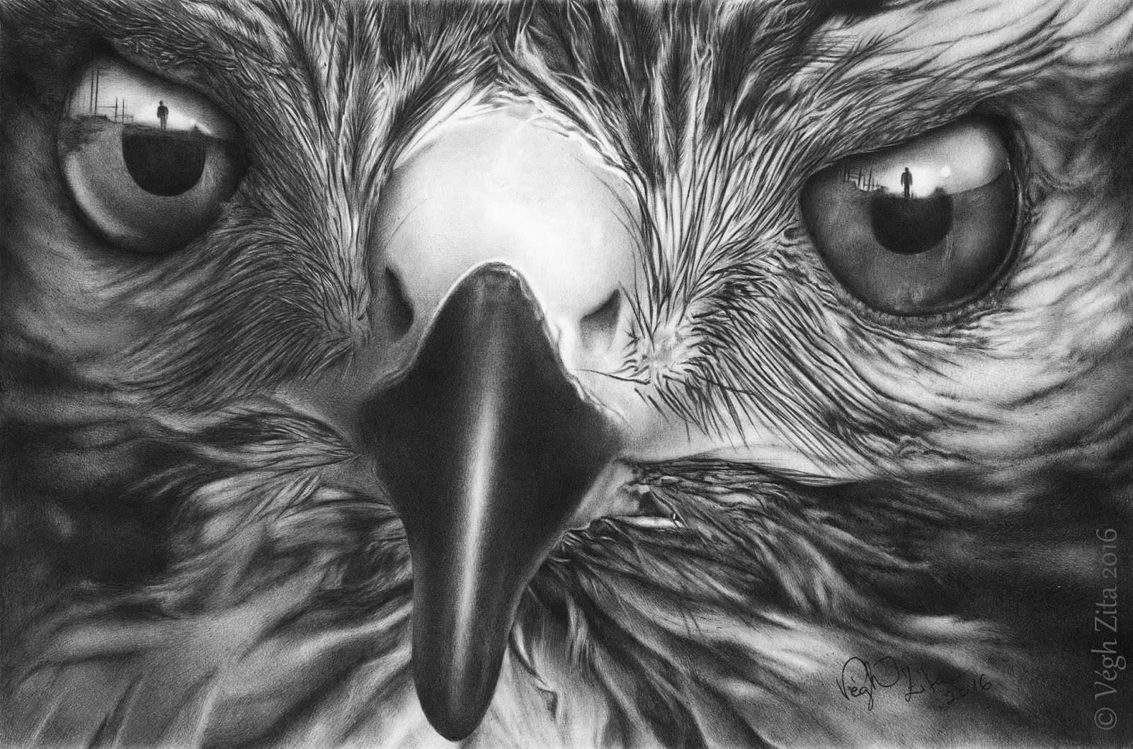 Fotórealista rajzok: Egyéb rajzok