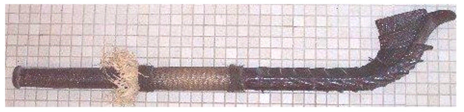 SIEMPRE NOS QUEDARA POTEDAIA: Las armas de las amazonas: LAS MAZAS.