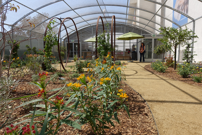 The Intrepid Tourist: BUTTERFLIES ALL AROUND: New Butterfly Pavilion ...