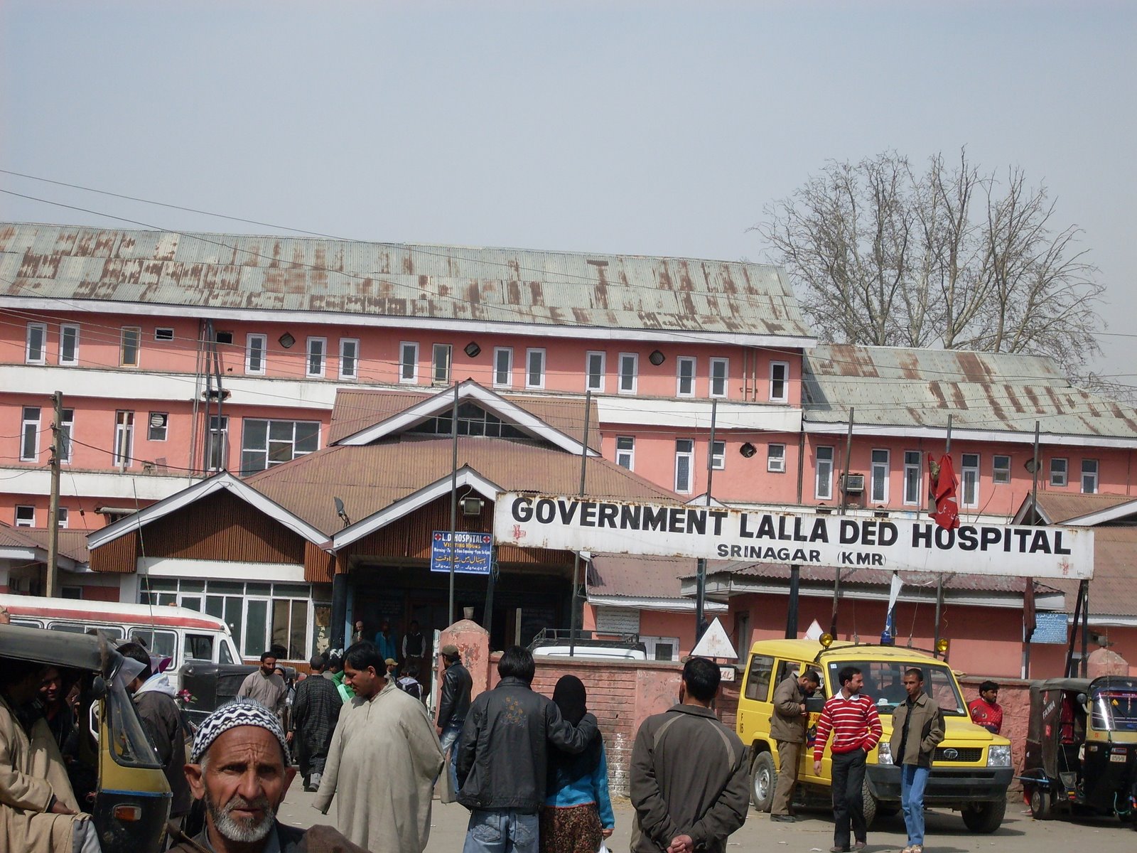 CHINAR SHADE : INSIDE LAL DED MATERNITY HOSPITAL SRINAGAR KASHMIR ...