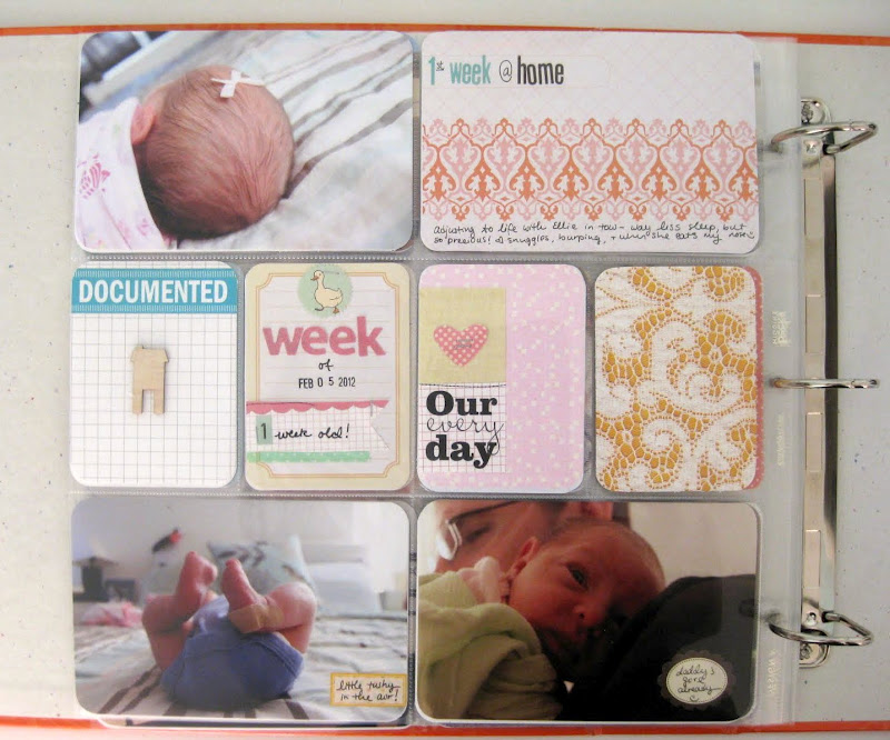 Over the Rainbow: Project Life--a bit about the bandwagon