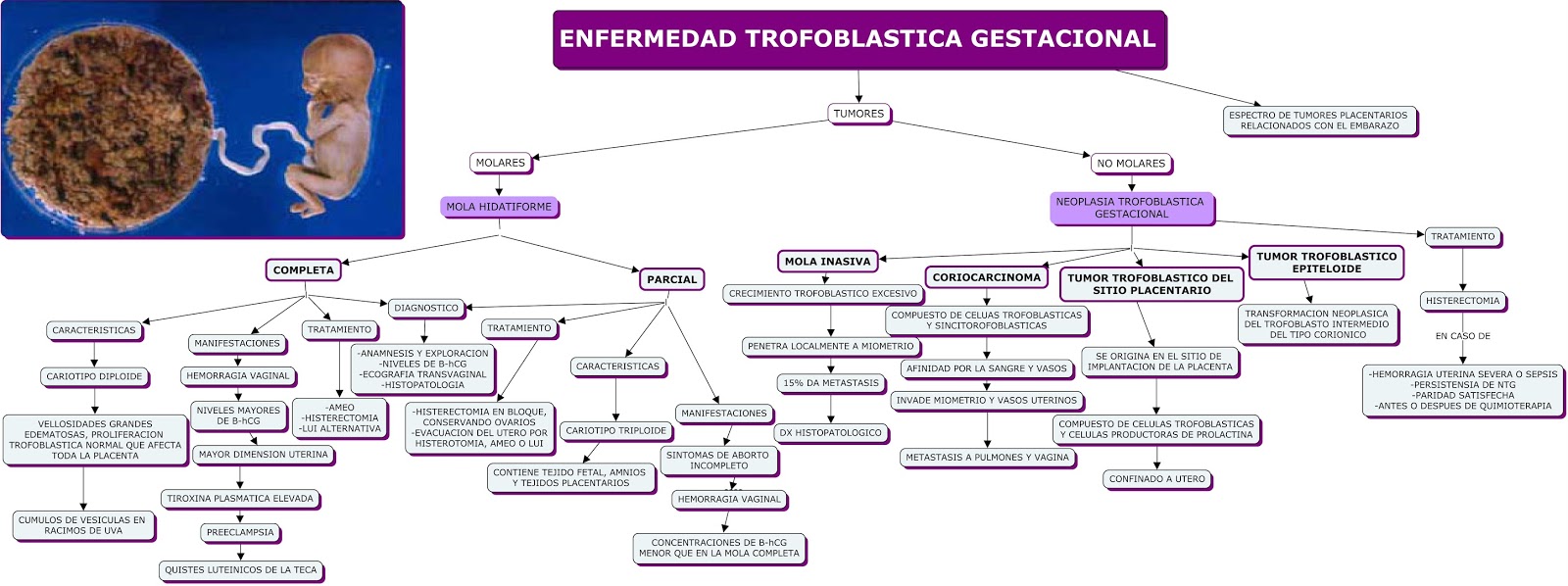Melissa Camacho gineco2016 grupo1 : ENFERMEDAD TROFOBLASTICA GESTACIONAL