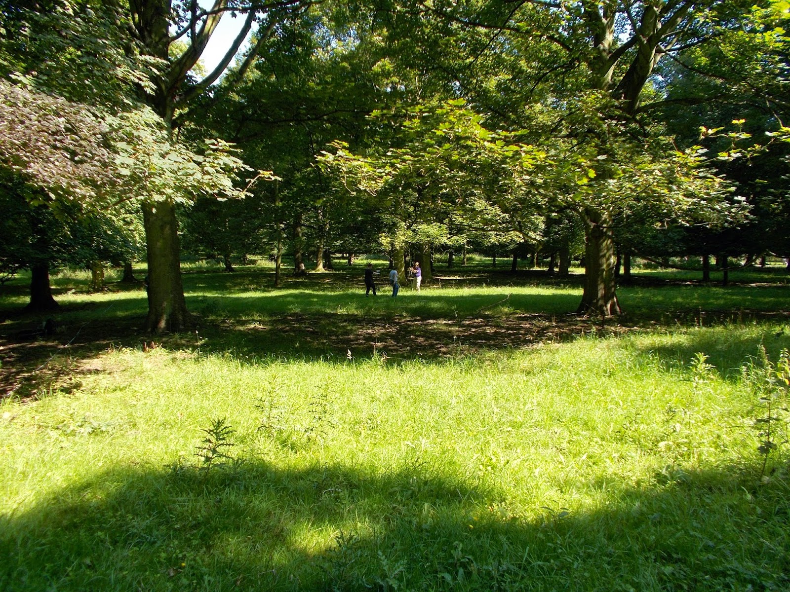 Elmet Archaeology: 24 July 2014, Hickleton Hall POW Project Day 4