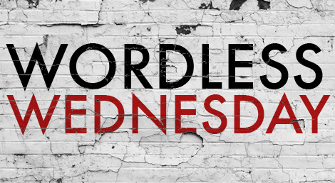 AZLAN RUMADI: APA ITU WORDLESS WEDNESDAY ? MENGAPA HARI RABU ADALAH ...