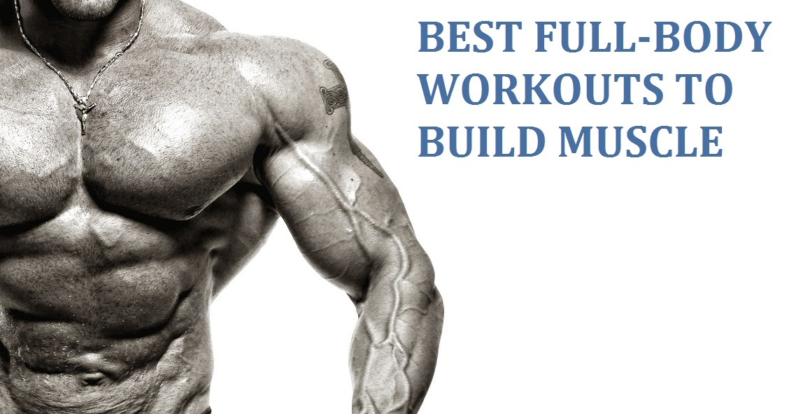 Muscle Palace: 3 Best Full-Body Workouts to Build Muscle Mass Fast