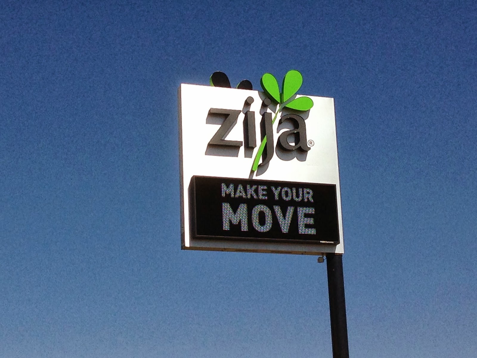 MORINGA BENEFITS BUSINESS: THE ZIJA FAMILY OF PRODUCTS By Russ Bianchi