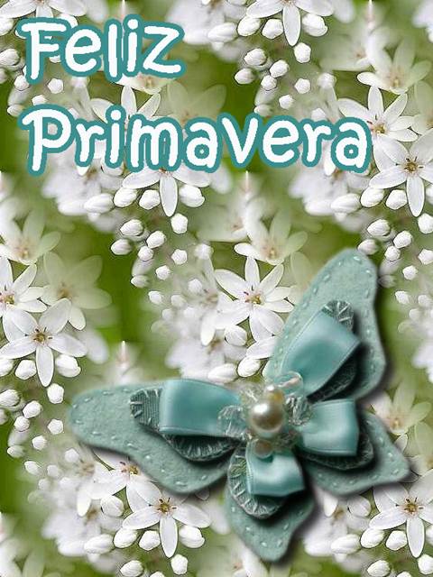 ZOOM FRASES: flores con mensaje o saludo de feliz primavera