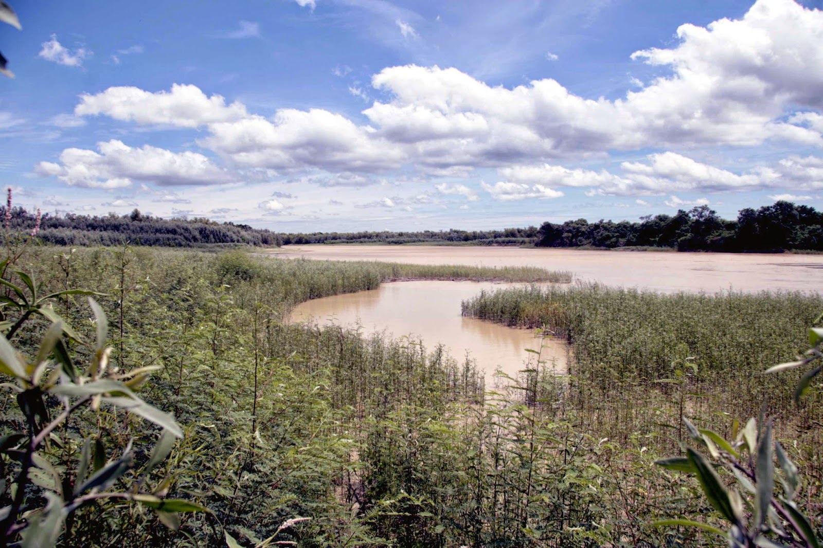 RADAR DE VIAJES: Viaje a la naturaleza, del Parque Nacional El ...