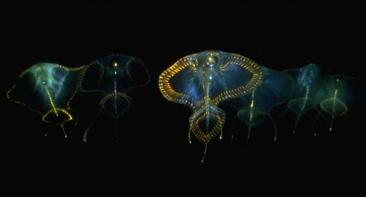 model ships in the cinema: The Abyss 1989 Part 4