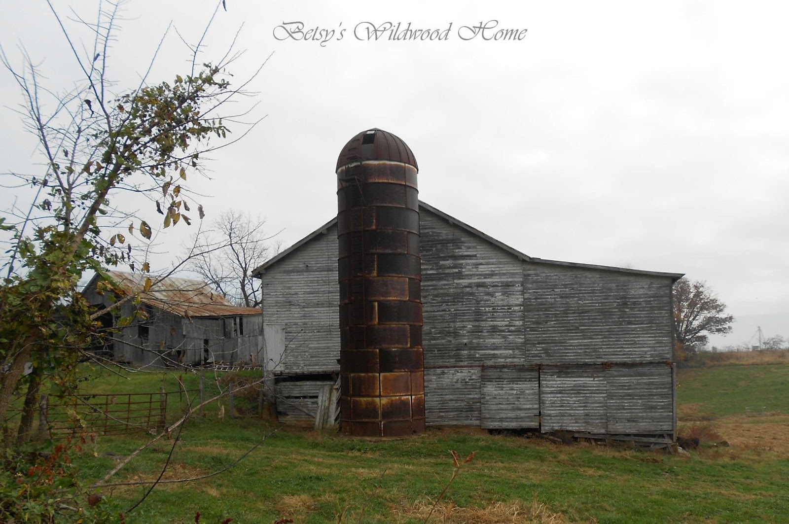 Betsy's Wildwood Home: rusty silo