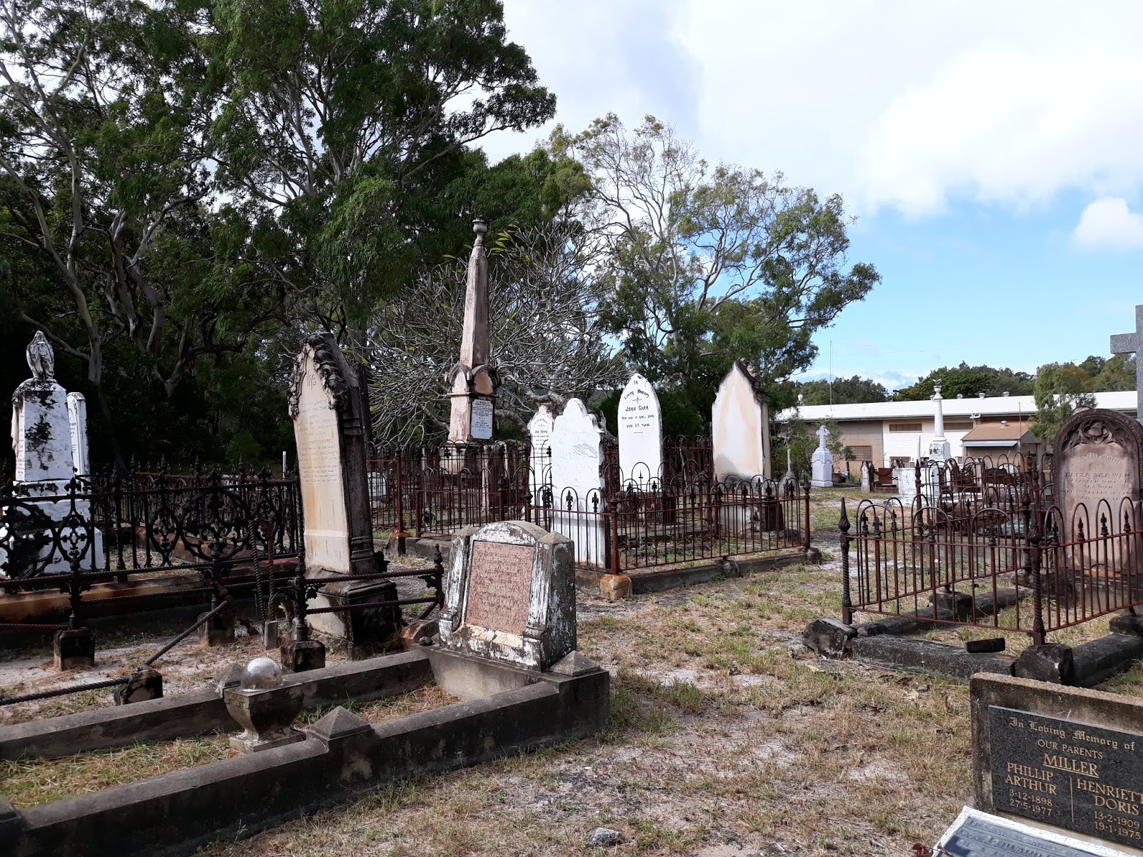 The Paddock: Cooktown