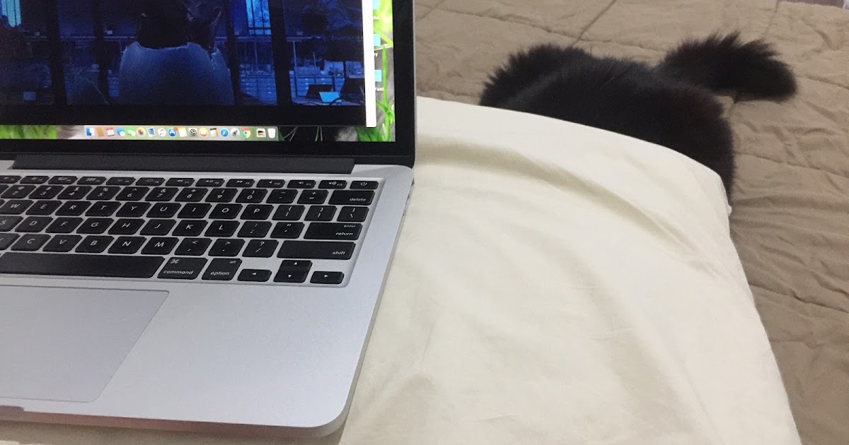 Mr. Puddy +: Movie time