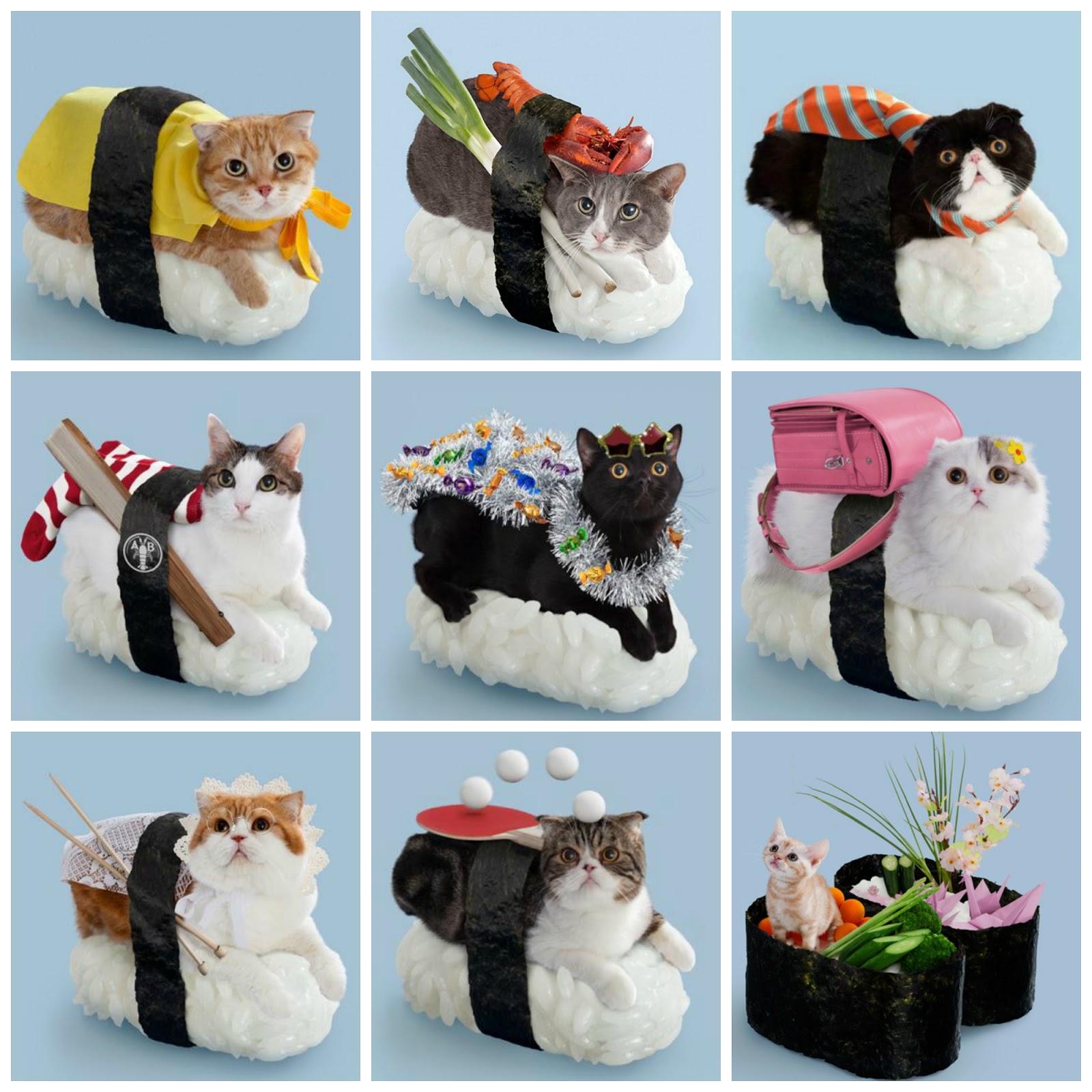 Zamani 84: Kejam! Kucing Dijadikan Sushi Di Jepun!