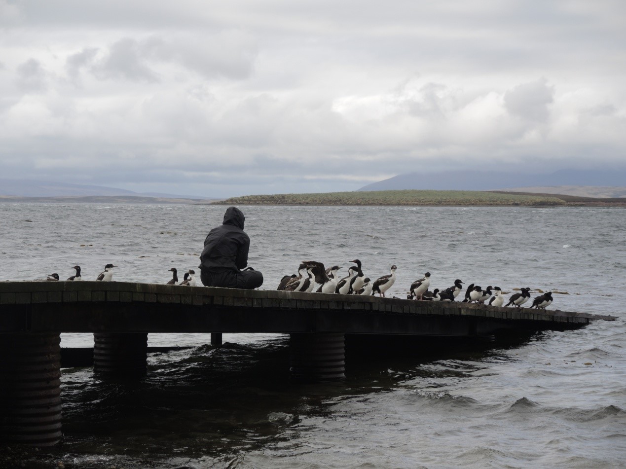 Algae Group Expeditions: Impressions from the Falkland Islands, January ...