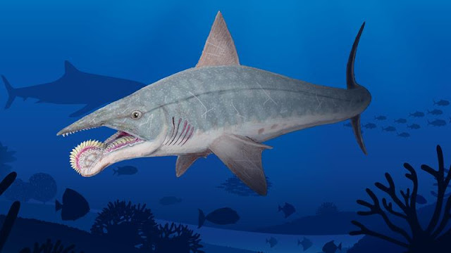 Top 10 Terrifying Sea Creatures of Prehistoric Age ~ Top 10 Interesting ...