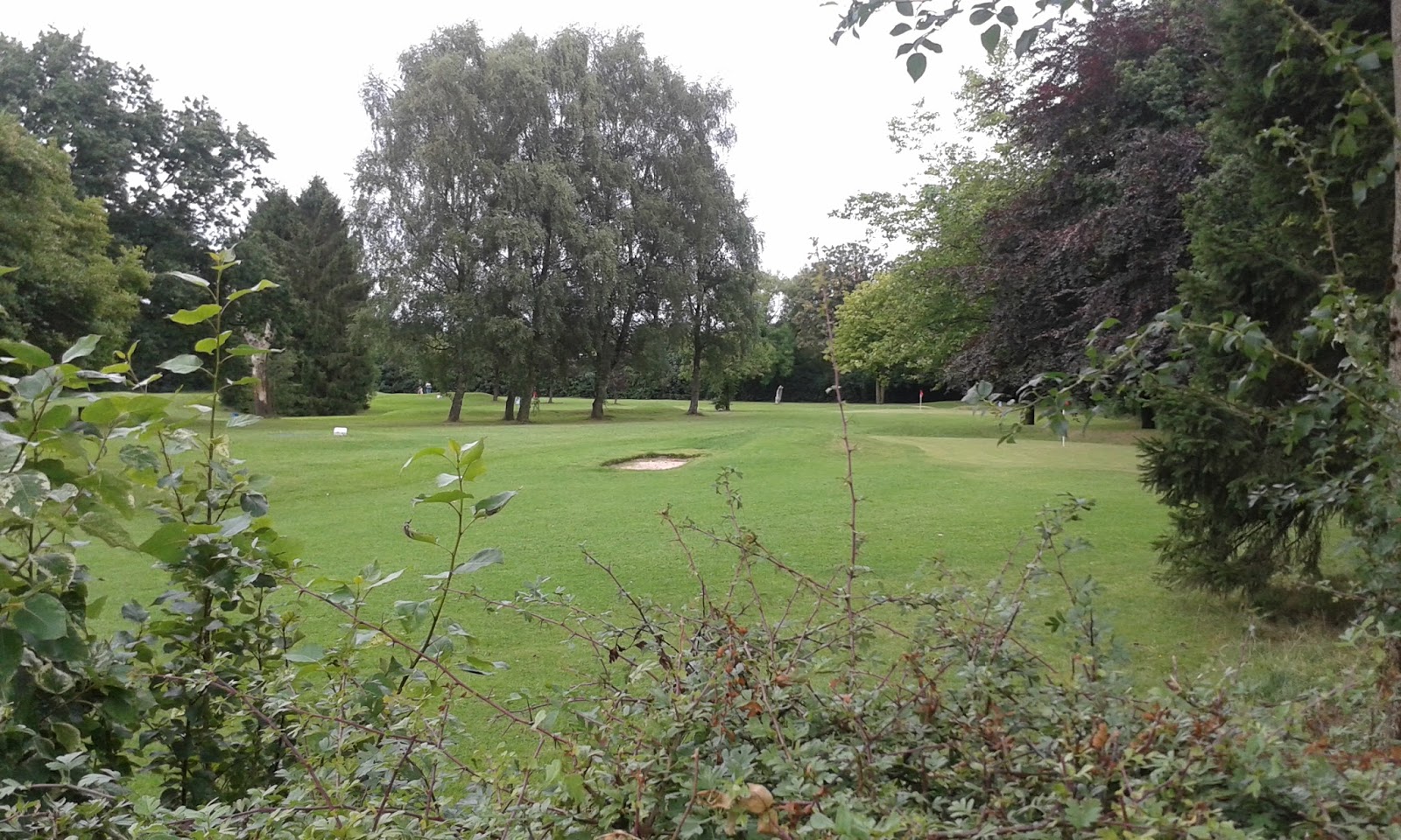 The Ham and Egger Files: Pitch and Putt at Bruntwood Park, Cheadle