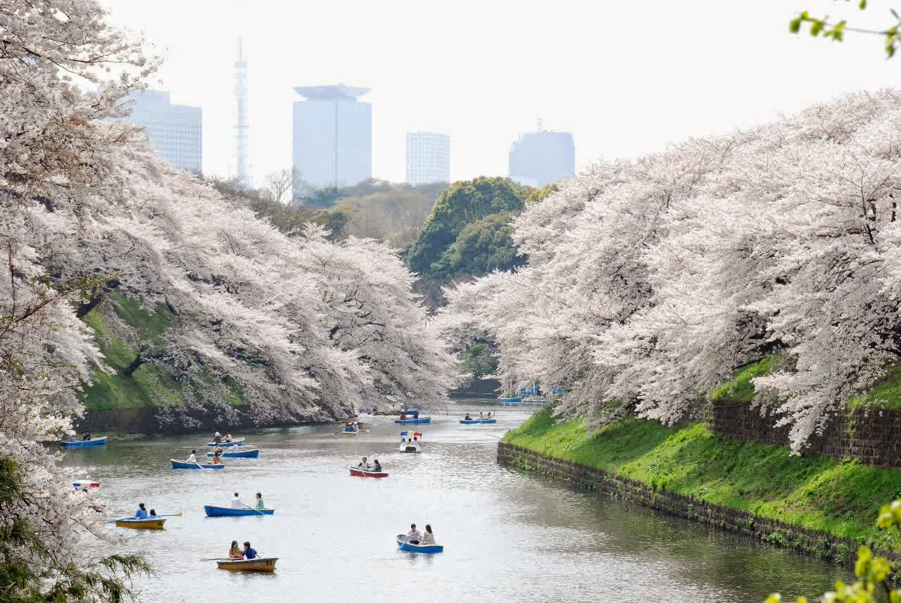 Sherinna Mega: UENO PARK "TAMAN PEMBERIAN SANG KAISAR"