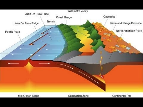 EL CICLO DE WILSON: EL CICLO DE WILSON
