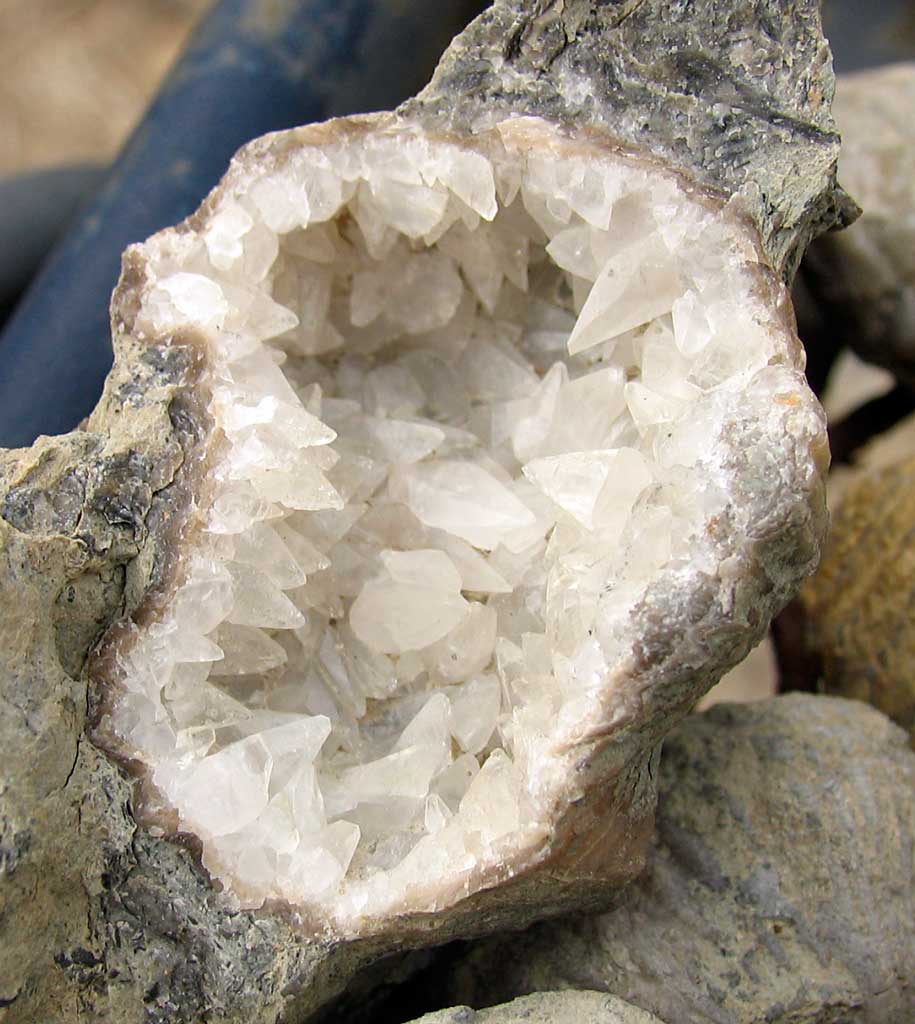 Louisville Fossils and Beyond: Calcite Filled Platystrophia Brachiopod