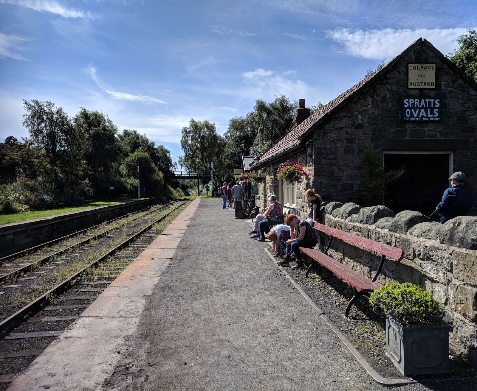 Tanfield Railway | Britain's Oldest Railway & a Picnic at Causey Arch ...