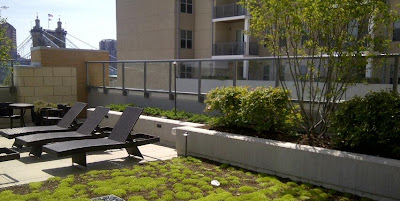 Architectural Products Blog: Architectural Windscreens Defined