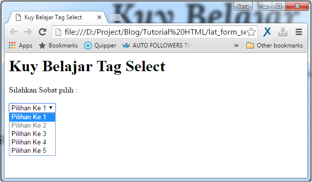 Fungsi Combo box (Tag Select) Beserta Cara Penggunaannya