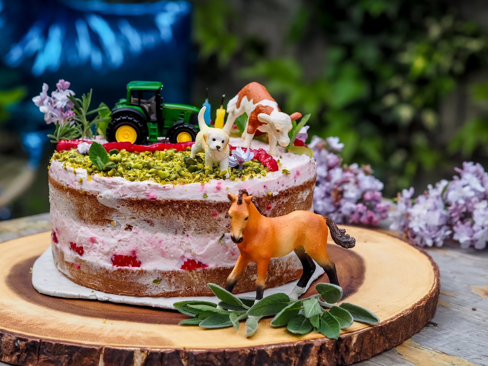 Smooth and cooking : První dort: BANÁNOVÝ KORPUS S MASCAROPONE (bez cukru)