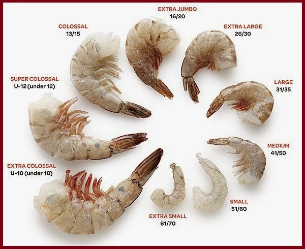 MaroaShop: Tallas de Camarón