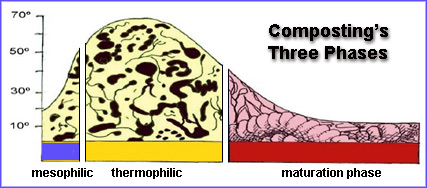 Curiosidades de la Microbiología: noviembre 2017