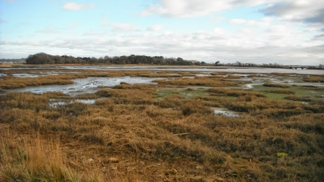 EASTLEIGH RAMBLER: CASTLEMAN TRAIL STAGE TWO