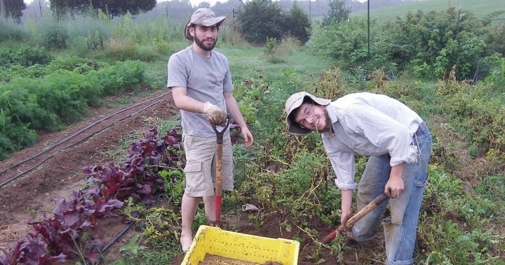 Jewish Humor Central: What Grows on a Yiddish Farm? Yiddish Speakers ...