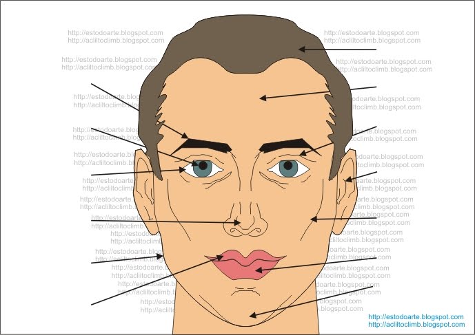 eS Todo aRte: Parts of the face