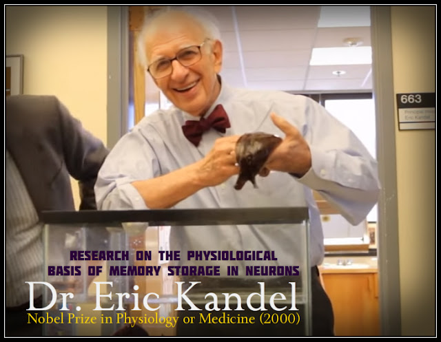 AP Psychology @AHS: Agenda: Nov. 14-18, 2016