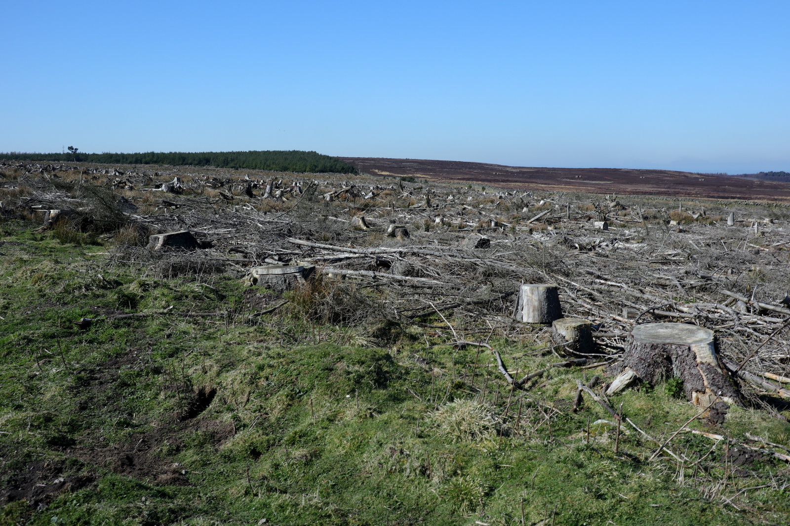 Walking in North Yorkshire