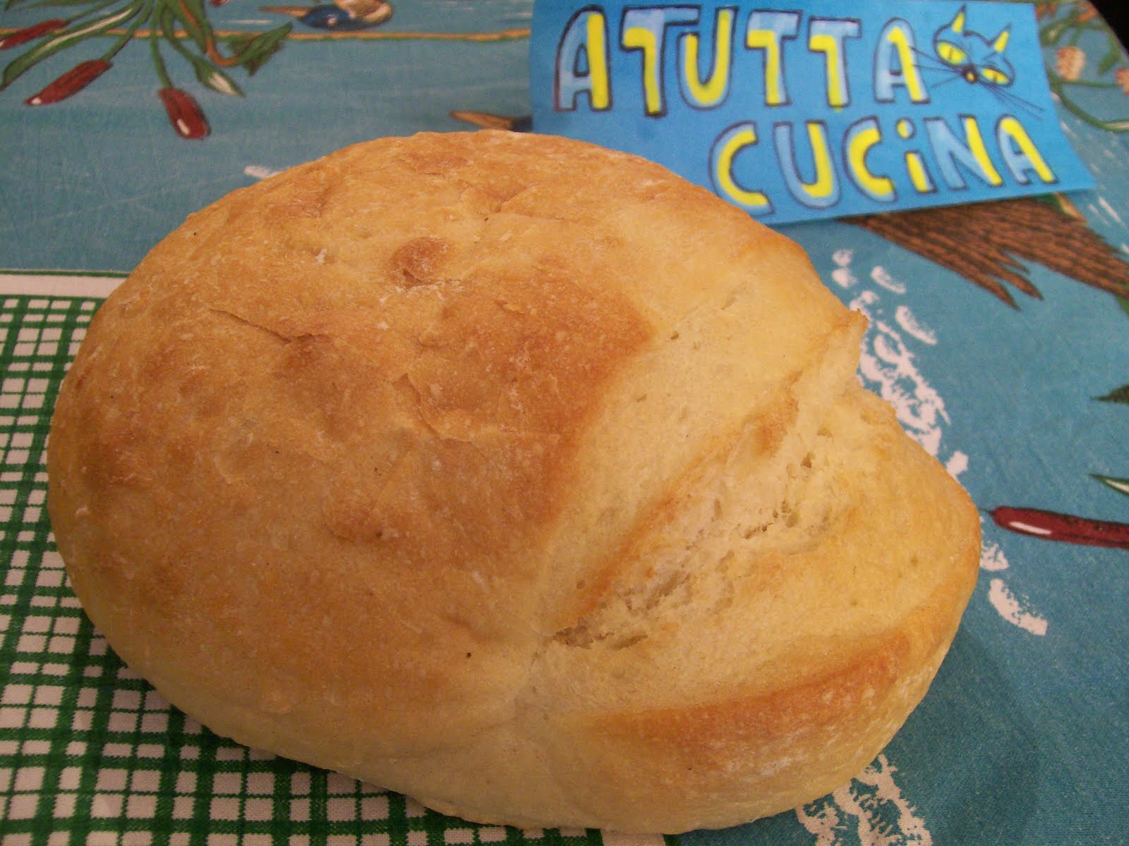 A TUTTA CUCINA: PAGNOTTA MORBIDA al LATTE