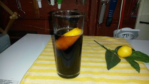 LEKKER RESEPTE VIR DIE JONGERGESLAG: SUURLEMOENE GEVRIES