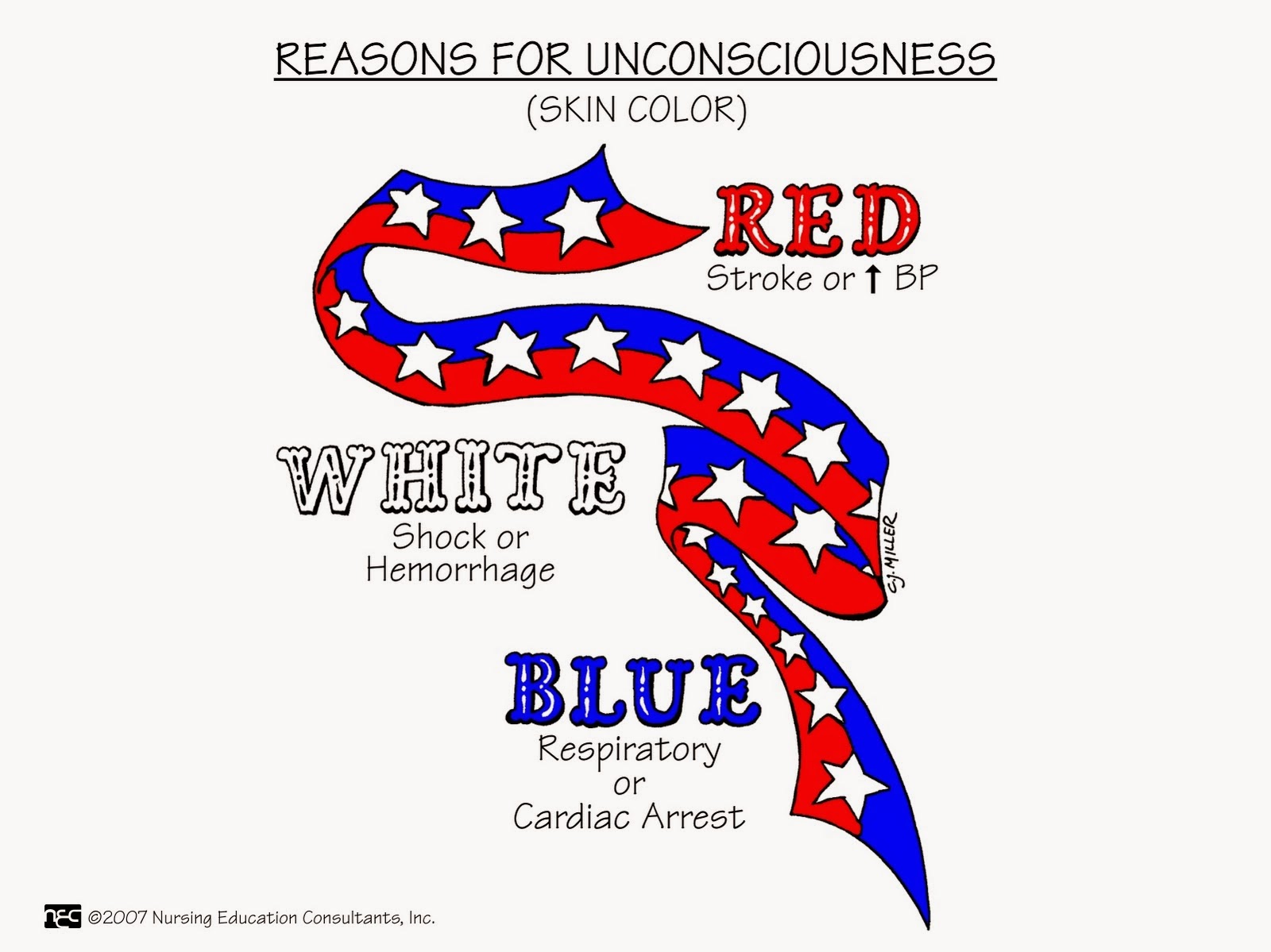 World's Greatest EMT Study Guide: Basic Mnemonics