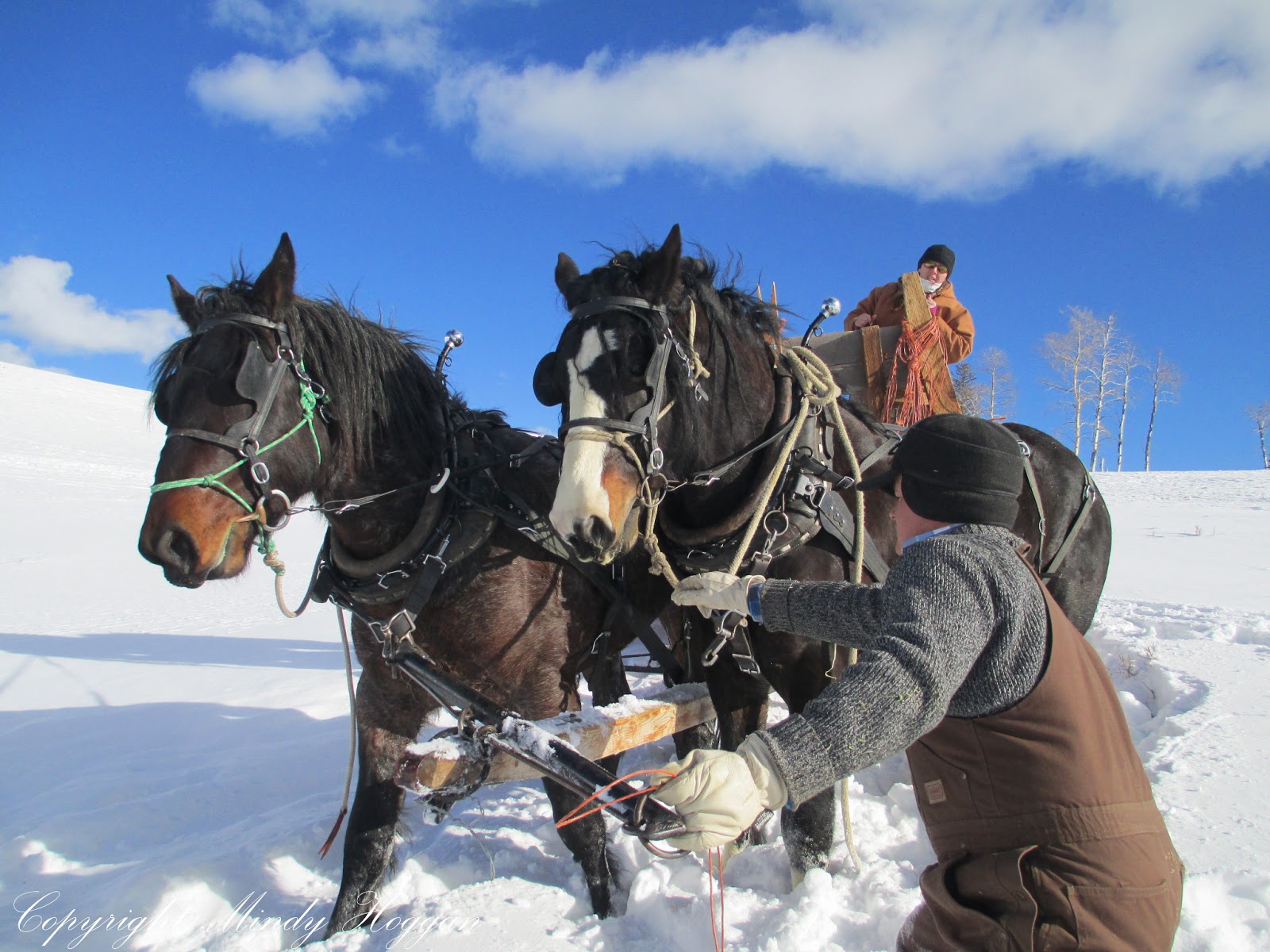 Rodeo Tales & Gypsy Trails: February 2013